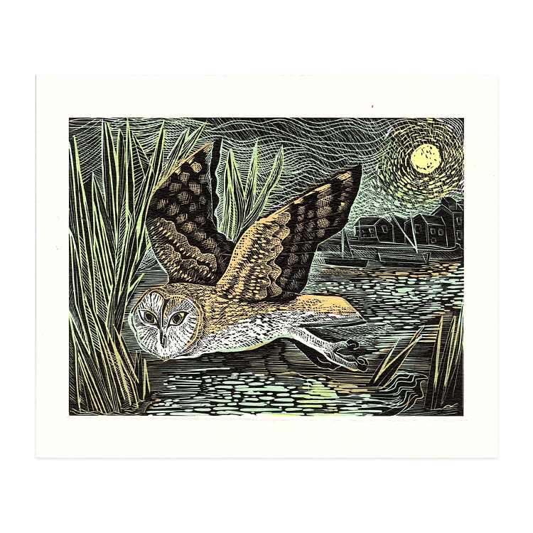 Angela Harding, 'Marsh Owl' – NewArtCards